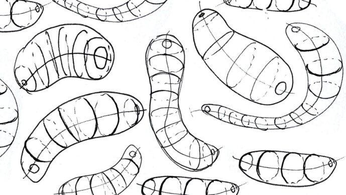5 Daily Drawing Exercises to Improve Your Art - Haydn Symons Illustration